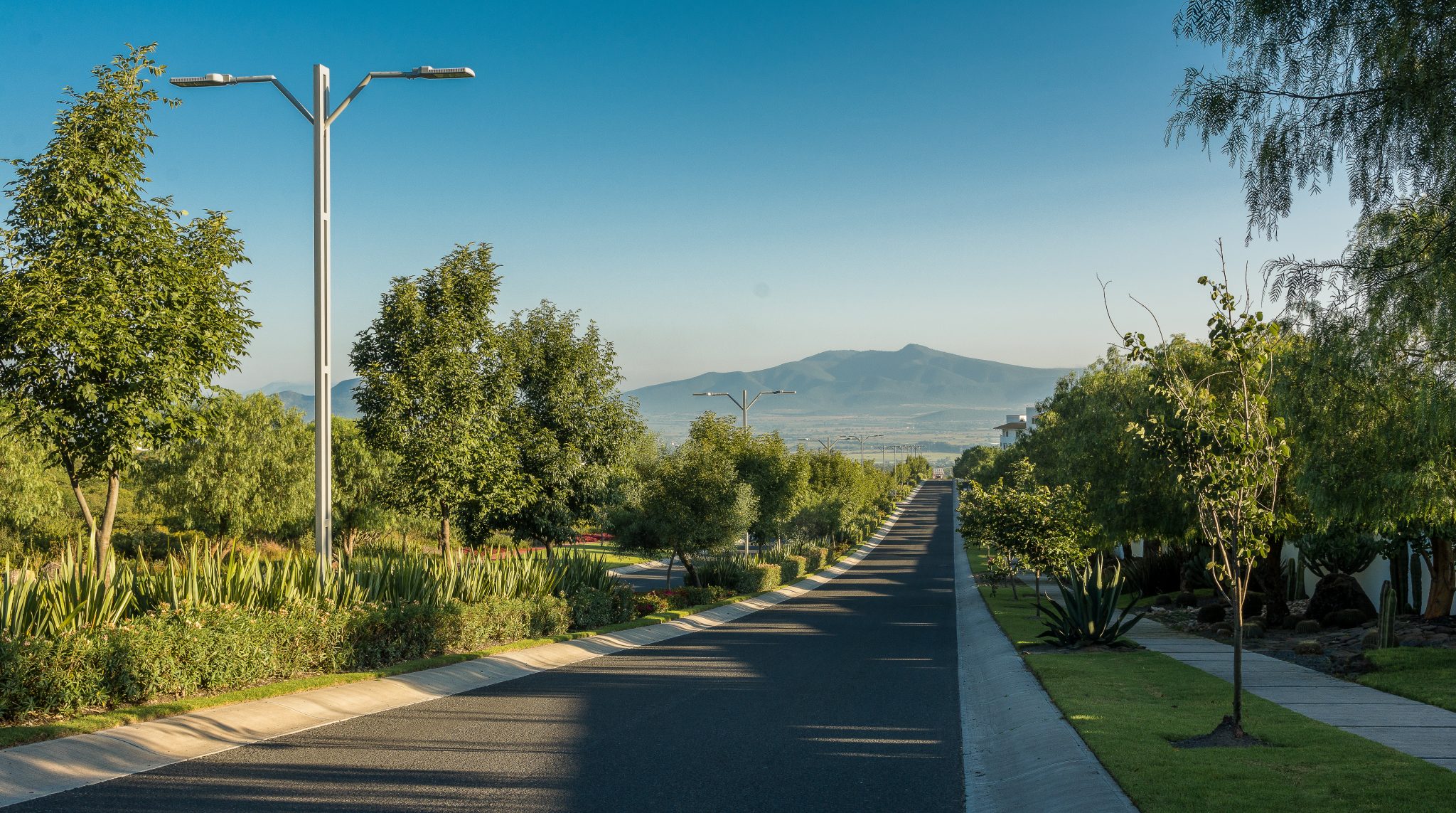 Esto es Zibata – Zibata